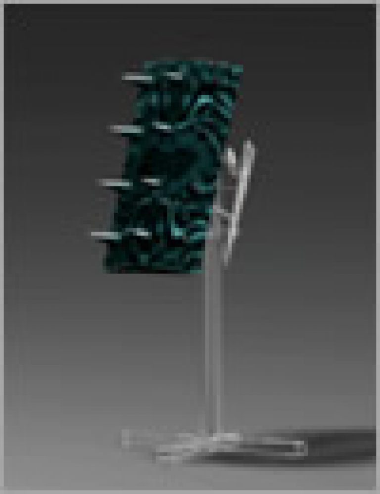 Spike Shield - World Mu Online