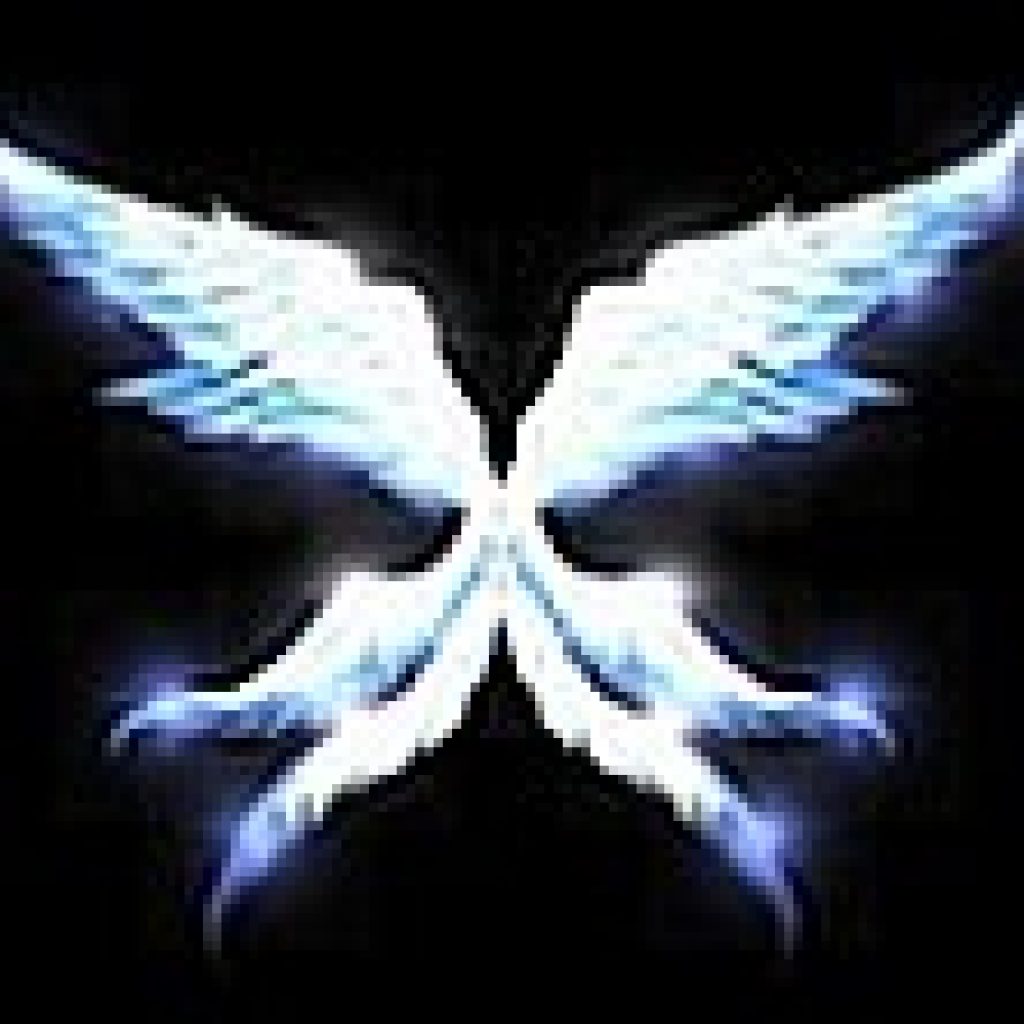 Wing of Eternal - World Mu Online